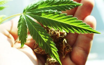 CA VC §21453 (a) | Running a Red Light in California